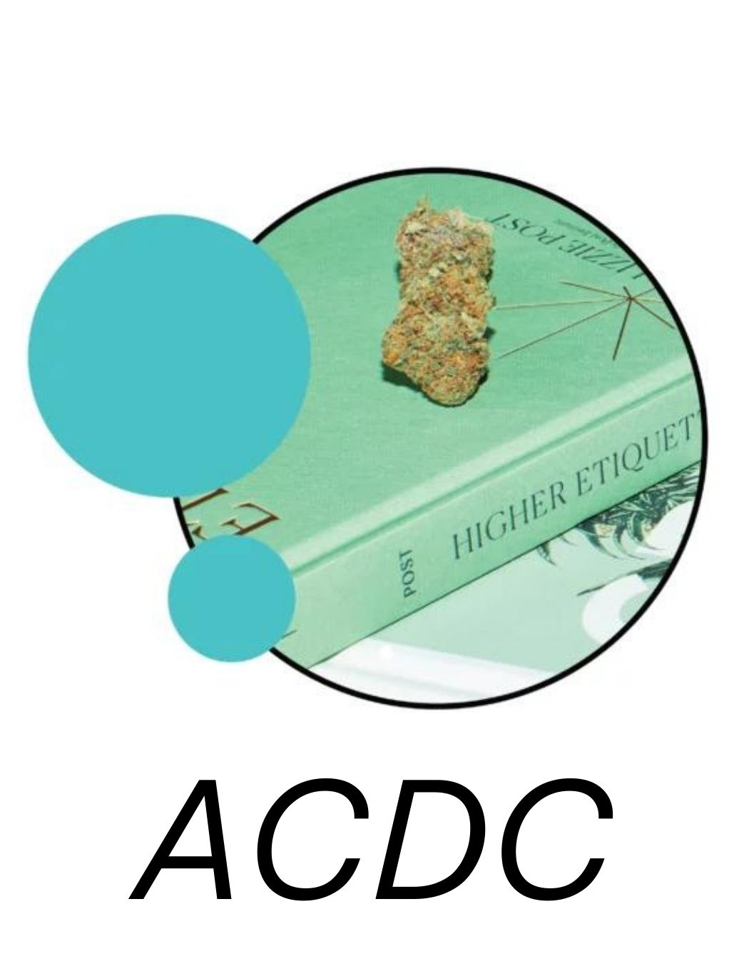 ACDC strain, a strain for every woman | How To Do The Pot