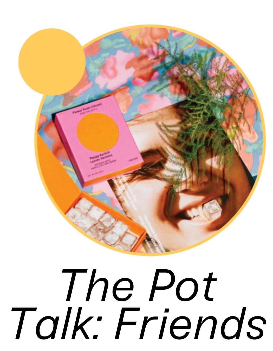 The Pot Talk - With a FRIEND Who Just Needs to Try it Already | How To ...