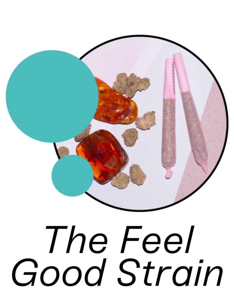 Gelato: Your Go-To Feel Good Strain | How To Do The Pot