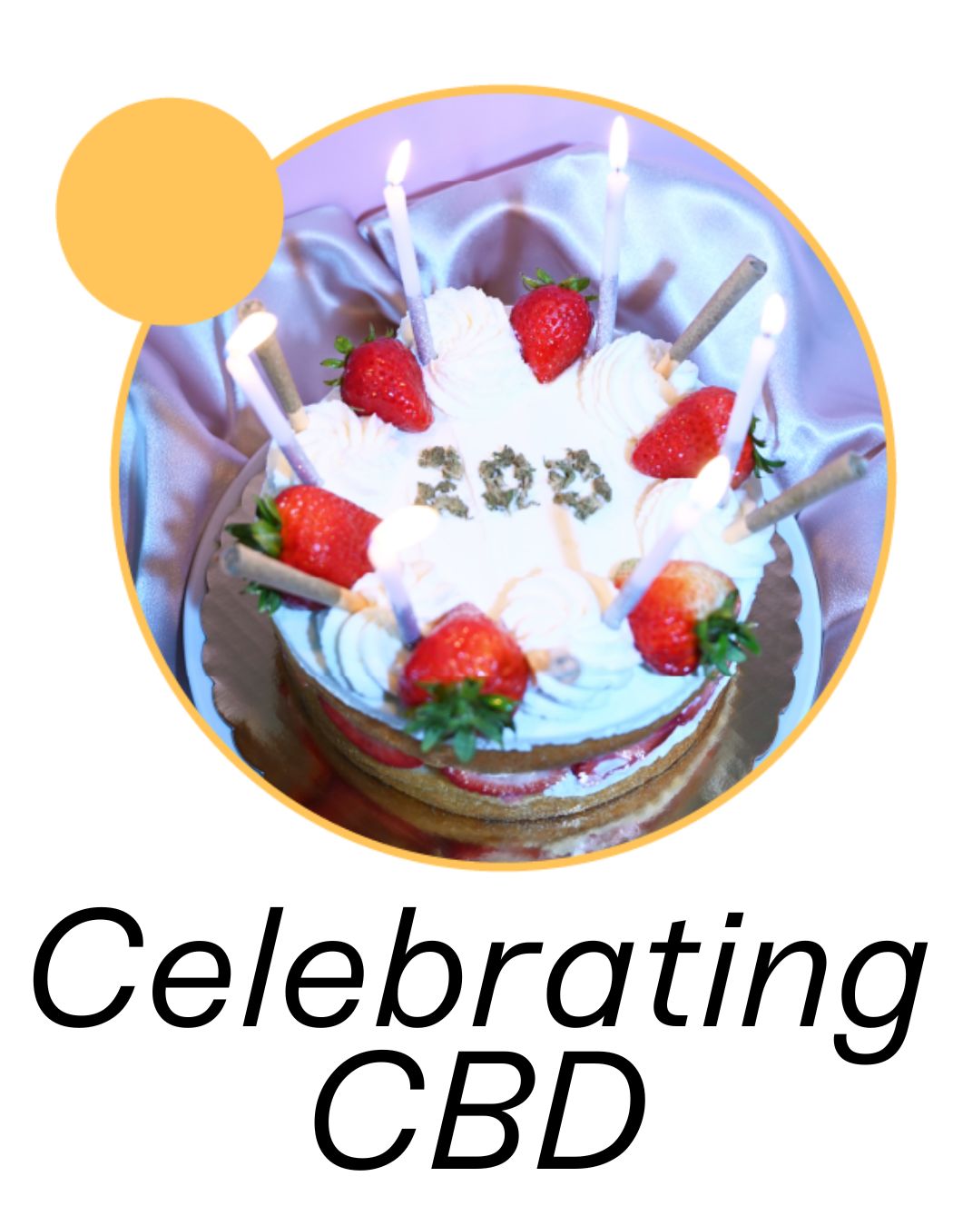 Celebrating 200 Episodes: The Power of CBD for Balance and Well-Being | How To Do The Pot